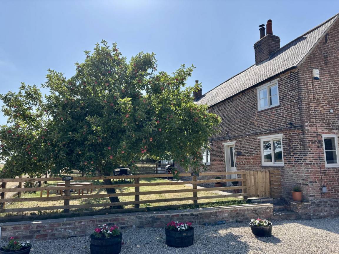 Cottage ∙ 3 Bedrooms ∙ 7 Guests - Thirsk