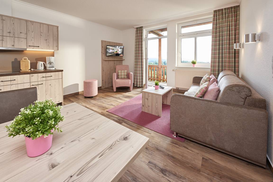 45 M² Appartement ∙ 1 Slaapkamer ∙ 4 Gasten - Titisee-Neustadt