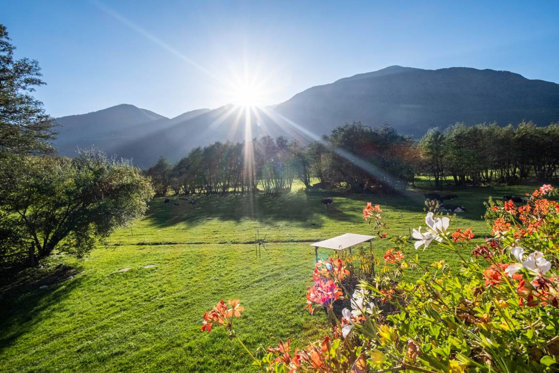 32 M² Estudio ∙ 3 Huéspedes - Watles