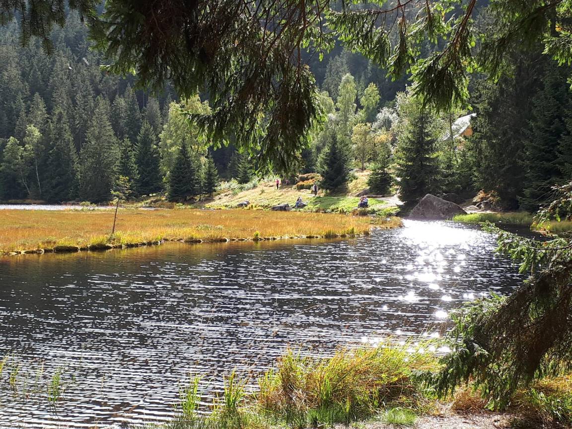 Chalet ∙ 3 Bedrooms ∙ 7 Guests - Bavaria