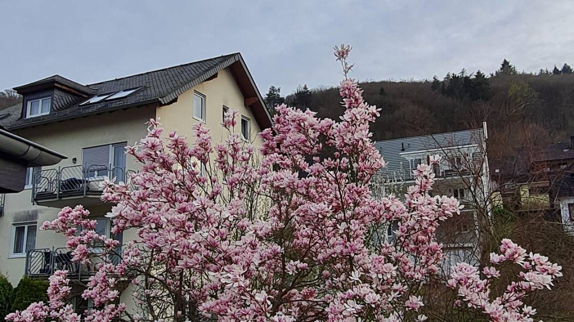 30 M² Apartment ∙ 1 Bedroom ∙ 2 Guests - Cochem