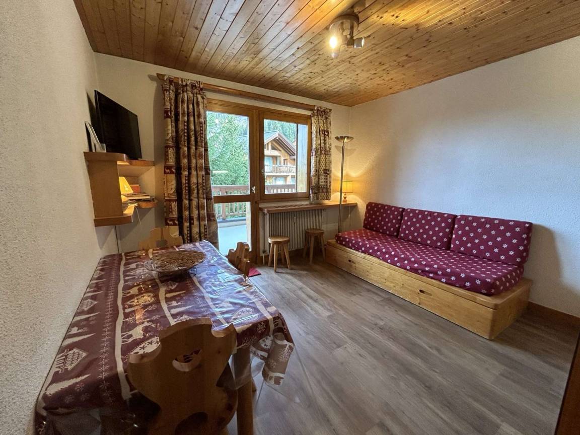 24 M² Studio Flat ∙ 1 Bedroom ∙ 4 Guests - Méribel