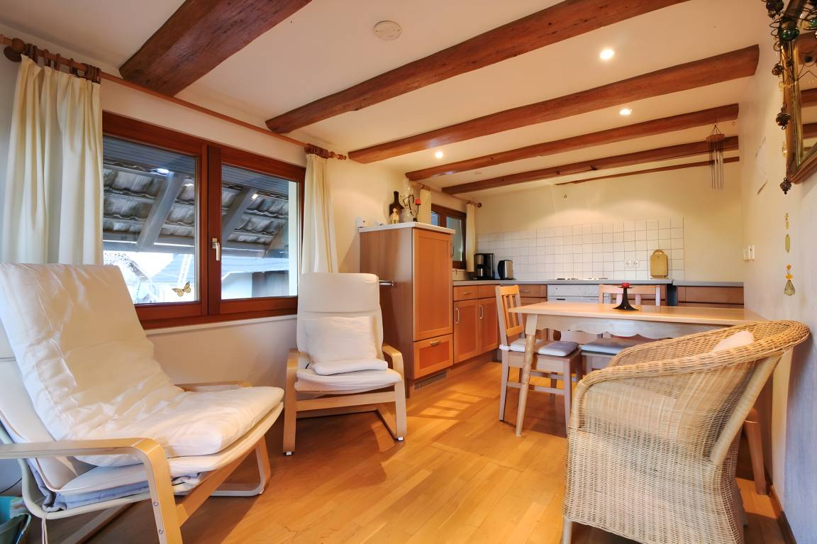 45 M² Apartment ∙ 1 Bedroom ∙ 3 Guests - Schuttertal