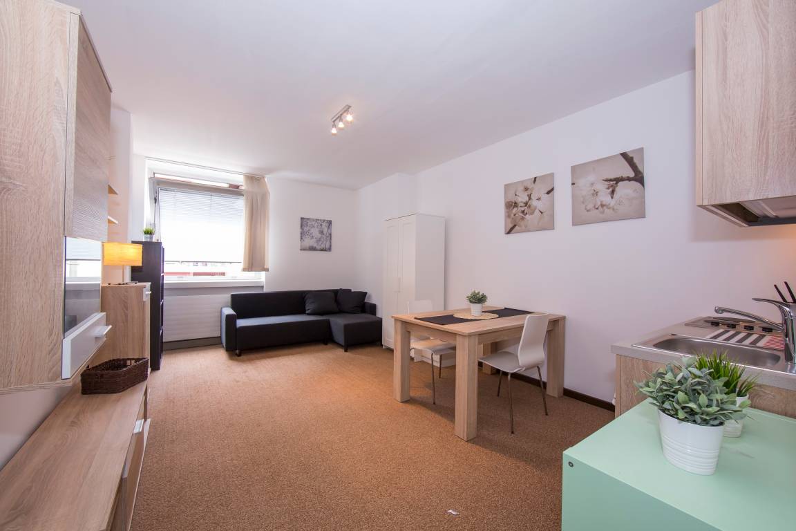 60 M² Ferienwohnung ∙ 1 Schlafzimmer ∙ 4 Gäste - Lugano