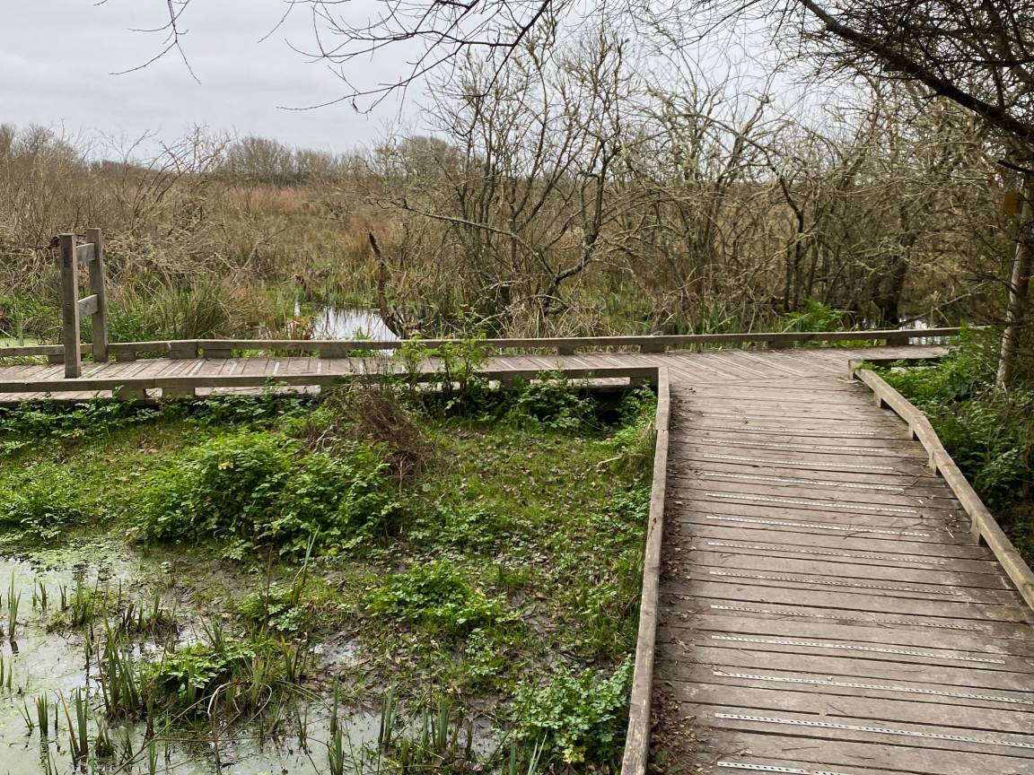 80 M² Maison De Vacances ∙ 2 Chambres ∙ 6 Personnes - Sarzeau