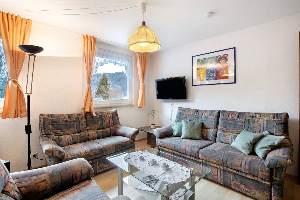 45 M² Ferienwohnung ∙ 1 Schlafzimmer ∙ 2 Gäste - Menzenschwand