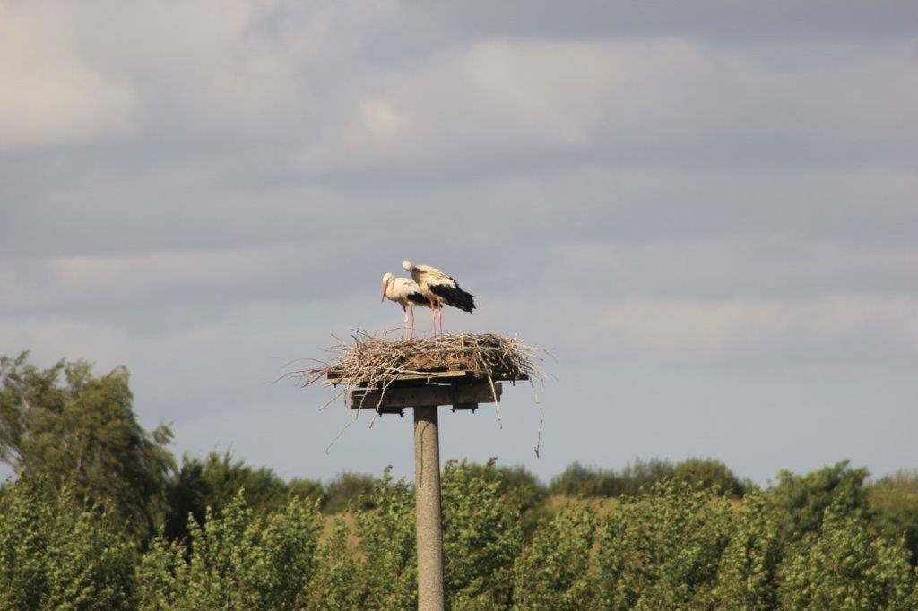 80 M² Apartamento ∙ 1 Habitación ∙ 4 Huéspedes - Bad Oldesloe