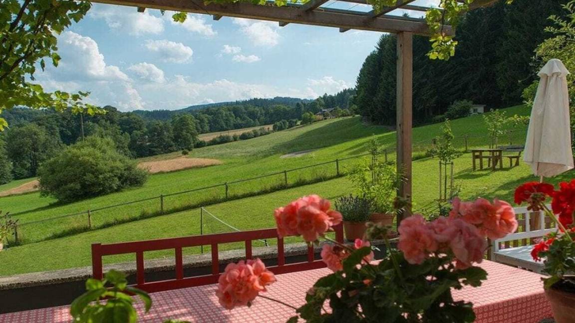 48 M² Ferienhaus ∙ 1 Schlafzimmer ∙ 3 Gäste - Attersee