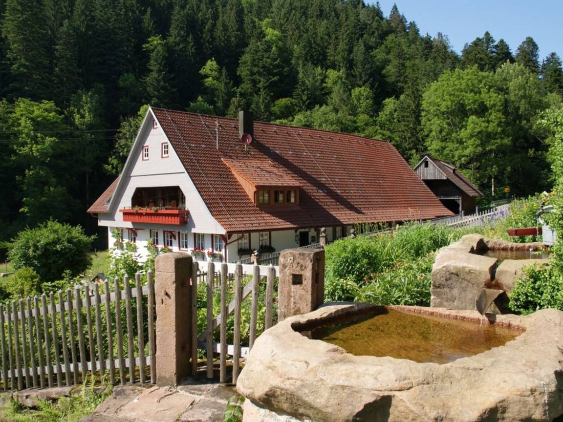 36 M² Apartment ∙ 1 Bedroom ∙ 4 Guests - Schiltach