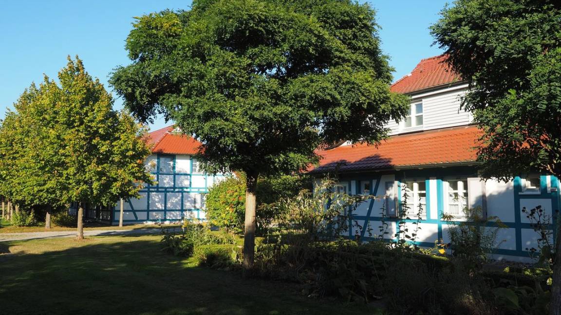 40 M² Ferienwohnung ∙ 1 Schlafzimmer ∙ 3 Gäste - Hiddensee