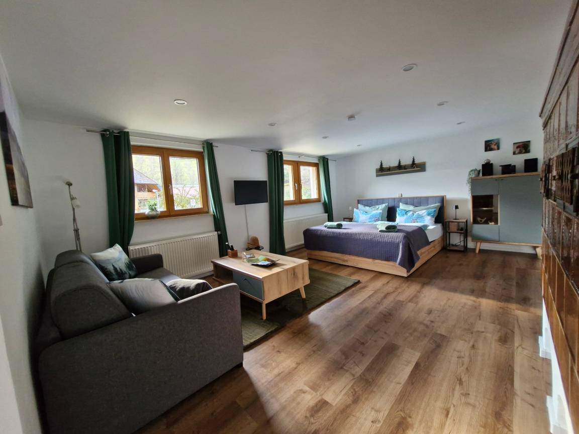 45 M² Studio ∙ 4 Gäste - Elzach