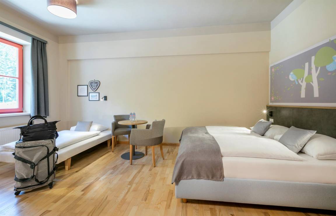 35 M² Hotel ∙ 1 Bedroom ∙ 4 Guests - Mariazell