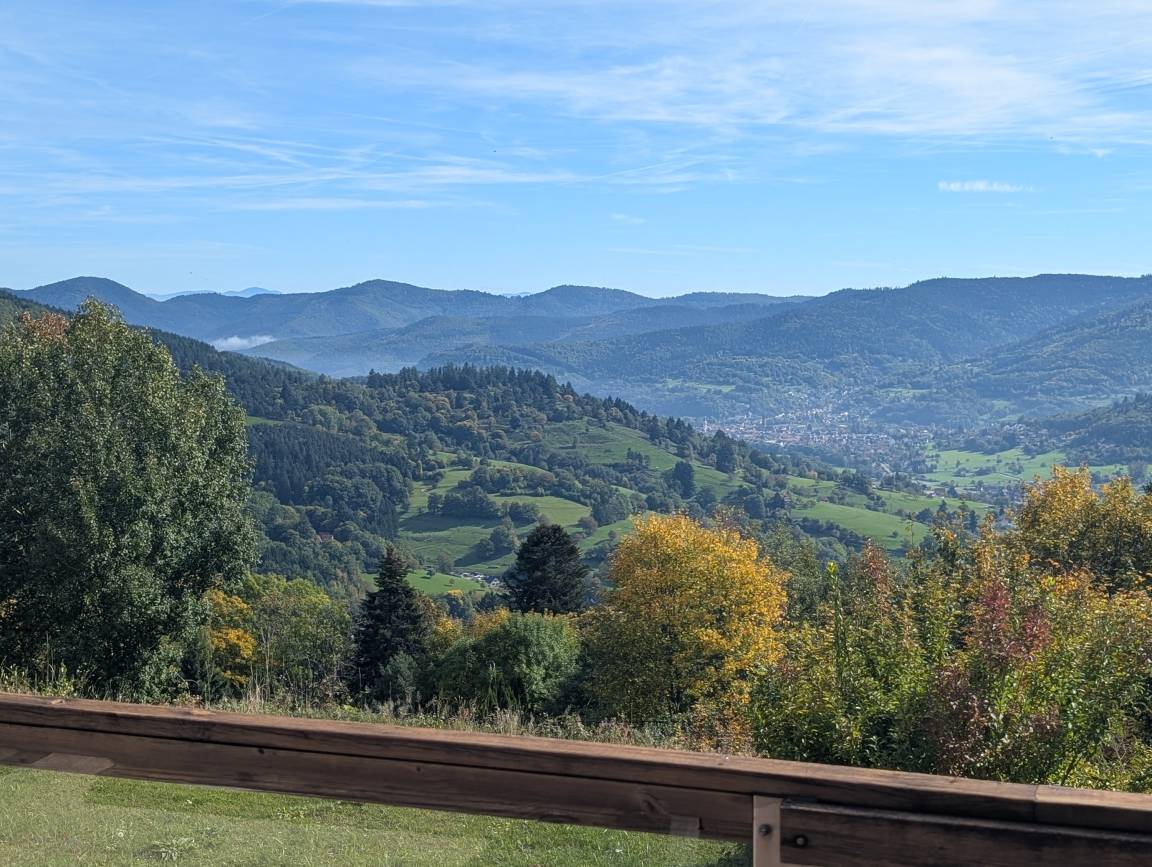 39 M² Appartement ∙ 1 Chambre ∙ 4 Personnes - Munster