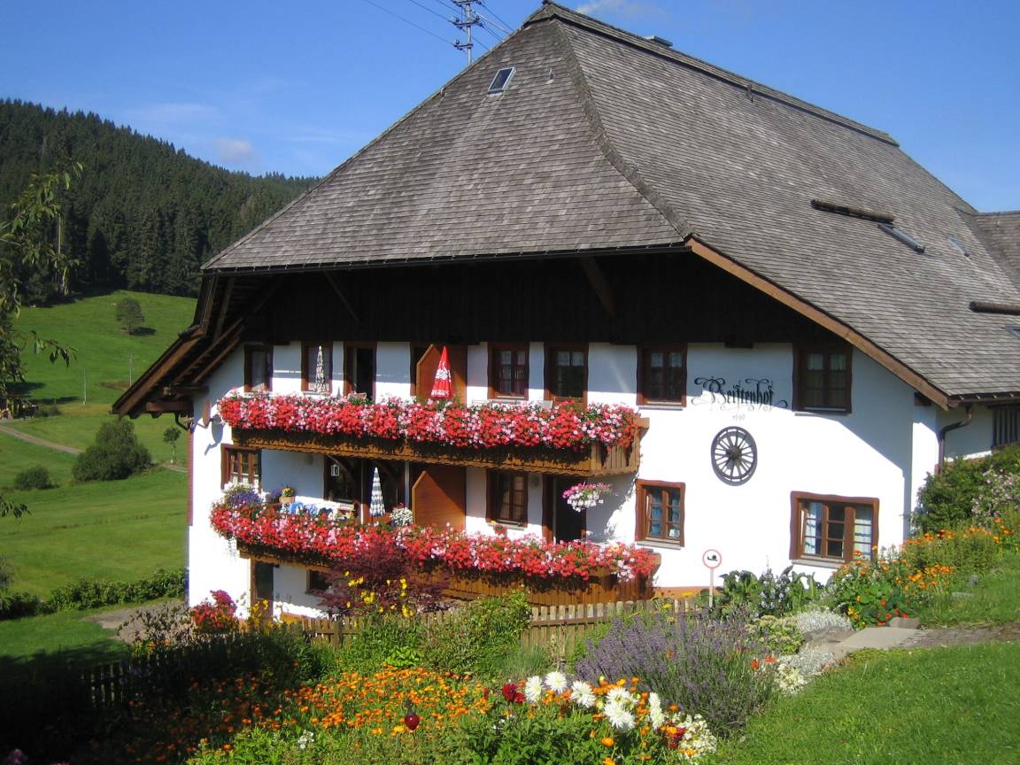 70 M² Appartement ∙ 1 Chambre ∙ 4 Personnes - Schluchsee