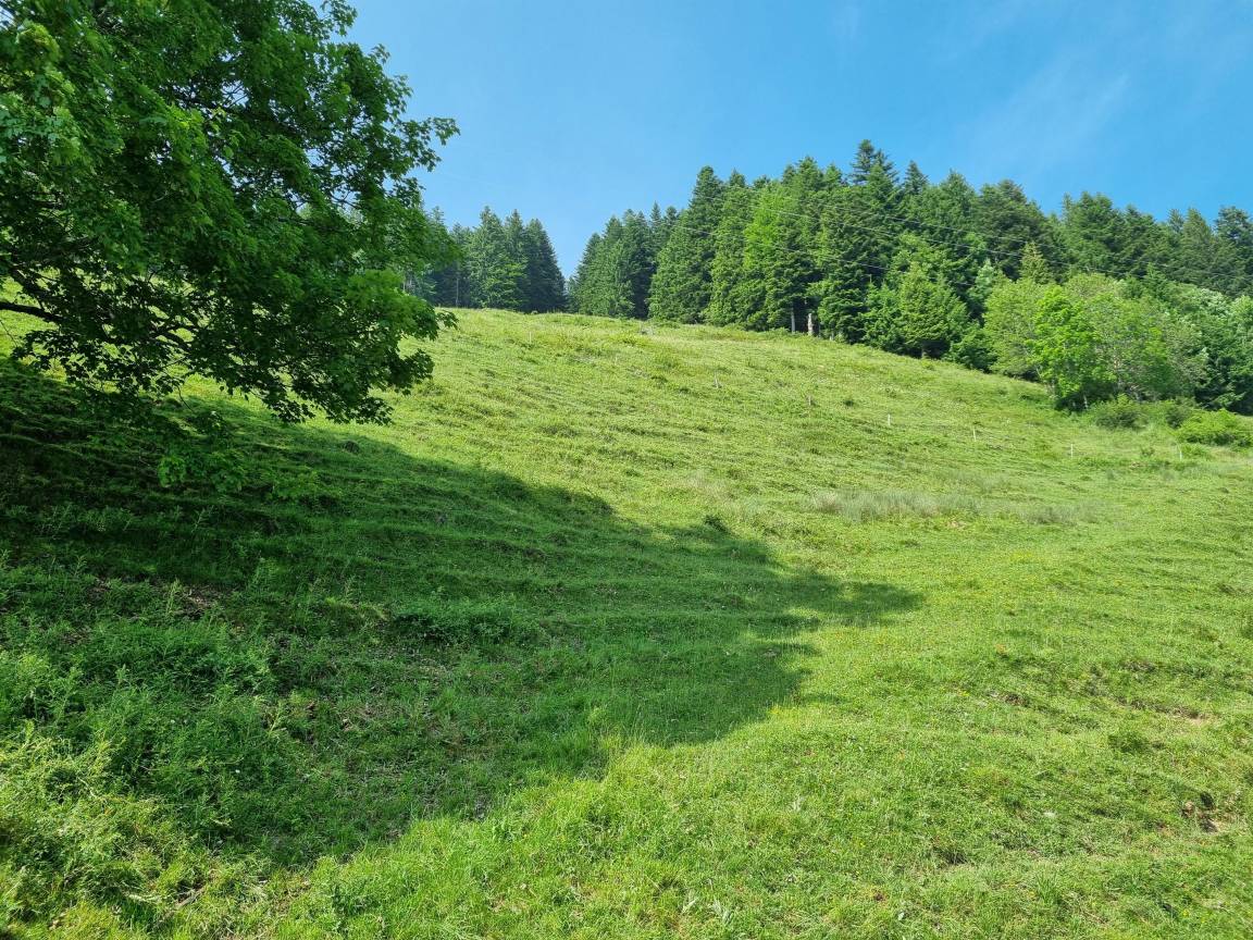 50 M² Apartment ∙ 1 Bedroom ∙ 3 Guests - Kufstein