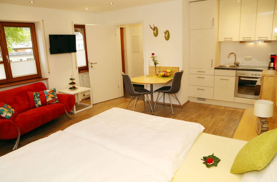 30 M² Studio ∙ 2 Personnes - Oberharmersbach