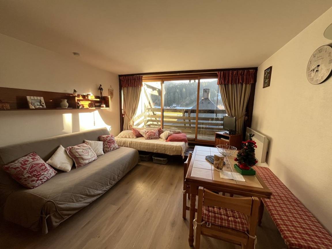 28 M² Studio Flat ∙ 1 Bedroom ∙ 4 Guests - Le Lioran