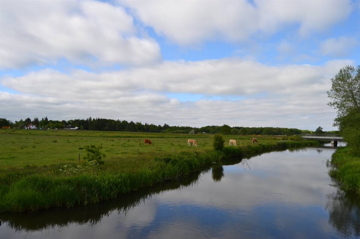 90 M² House ∙ 2 Bedrooms ∙ 4 Guests - Ribe