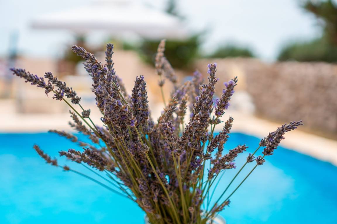 203 M² Casa ∙ 5 Habitaciones ∙ 12 Huéspedes - Pag