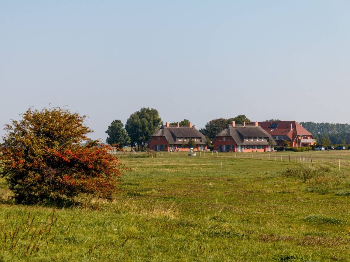 50 M² Bauernhof ∙ 1 Schlafzimmer ∙ 2 Gäste - Stralsund