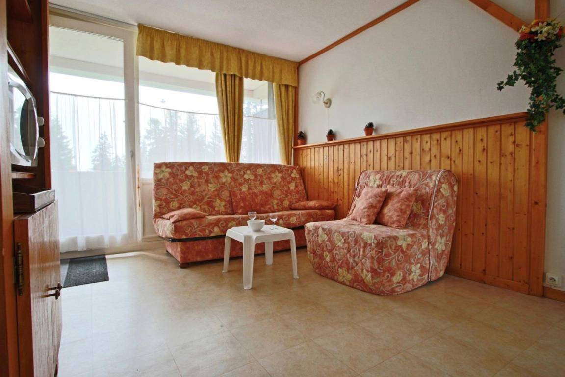 19 M² Studio Flat ∙ 1 Bedroom ∙ 3 Guests - Chamrousse