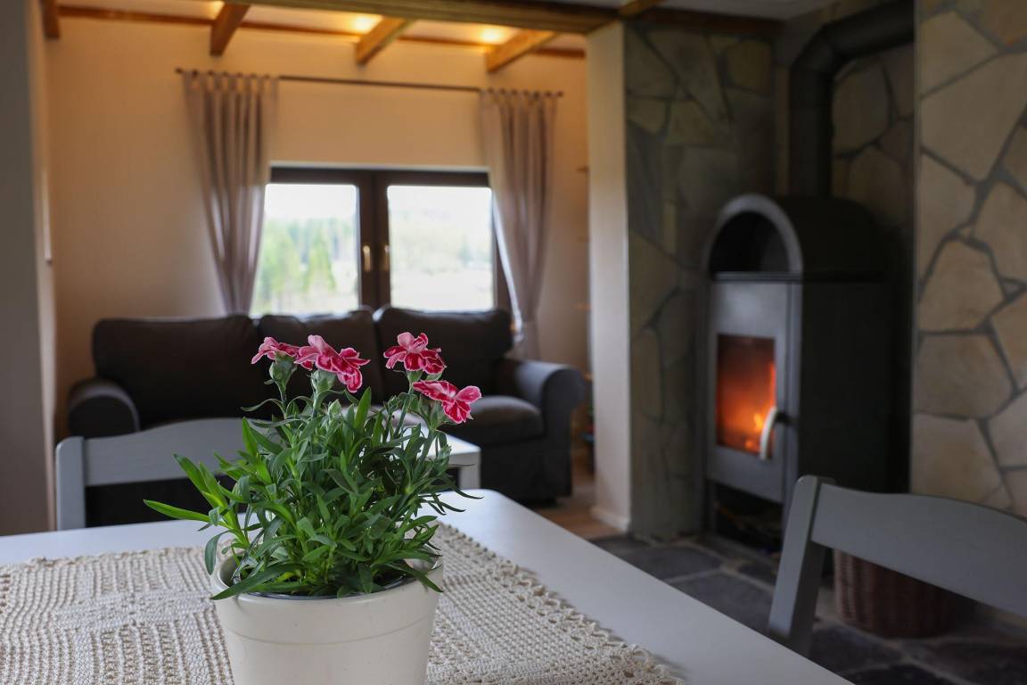 60 M² Apartment ∙ 2 Bedrooms ∙ 5 Guests - Burbach