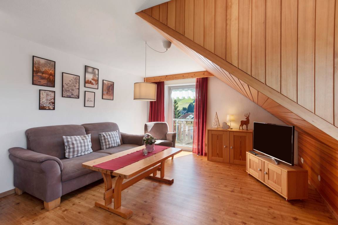 62 M² Appartement ∙ 2 Slaapkamers ∙ 5 Gasten - Todtnau