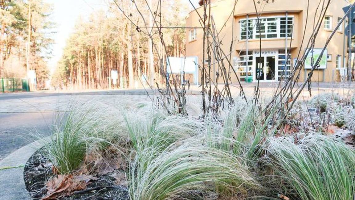 50 M² Appartement ∙ 1 Chambre ∙ 2 Personnes - Senftenberg