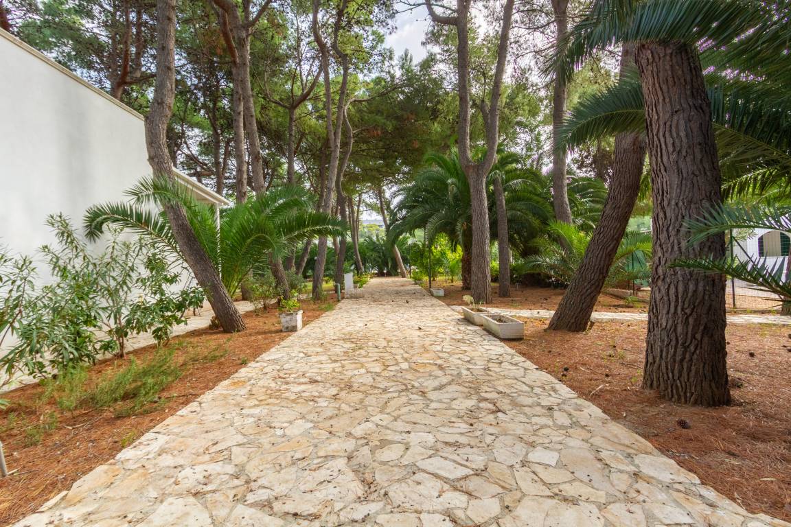 35 M² Apartment ∙ 1 Bedroom ∙ 4 Guests - Vieste