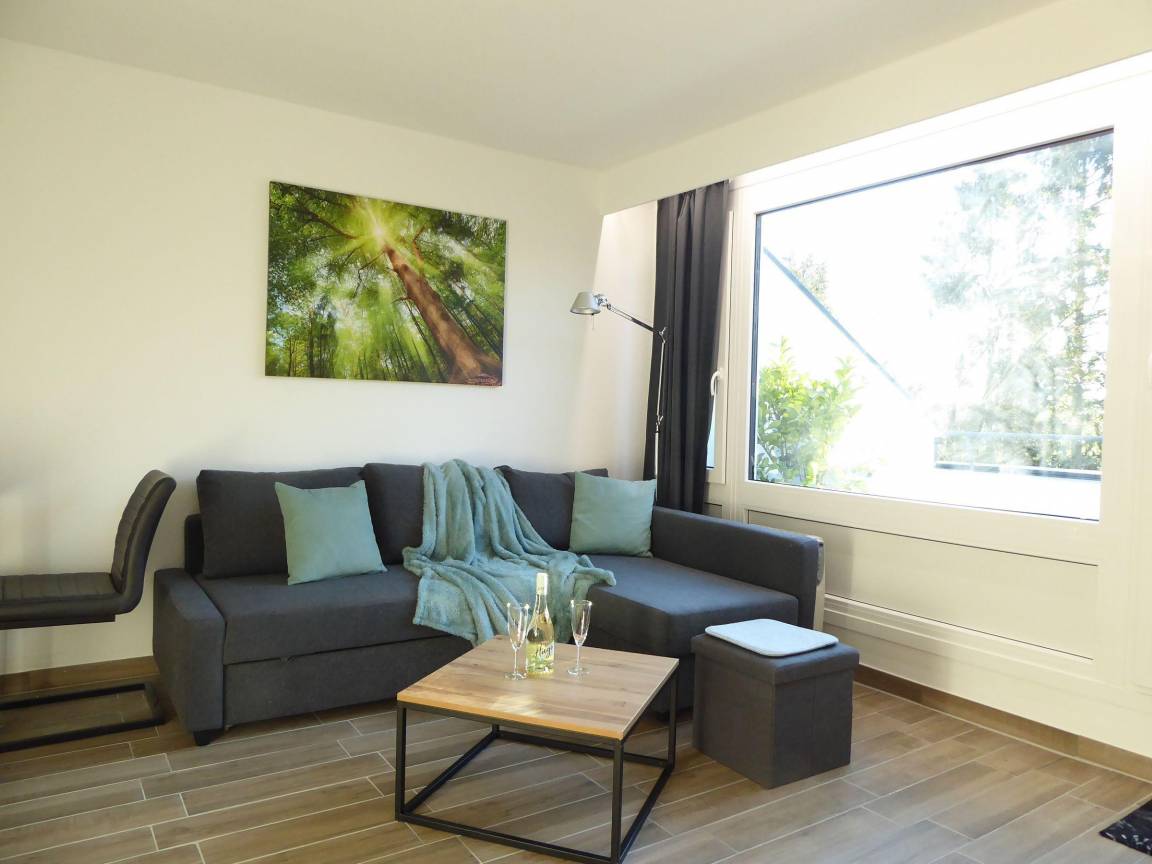 40 M² Ferienwohnung ∙ 1 Schlafzimmer ∙ 4 Gäste - Winterberg