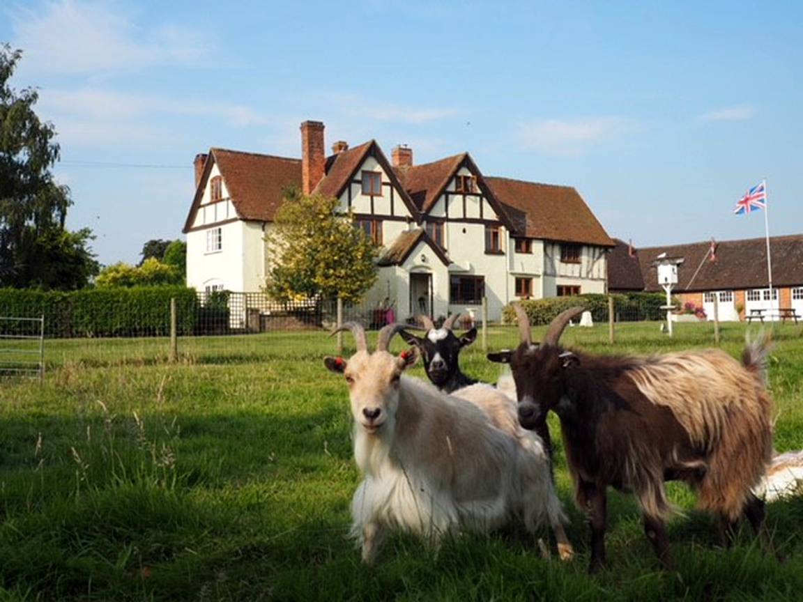 Camping ∙ 1 Bedroom ∙ 2 Guests - Warwickshire