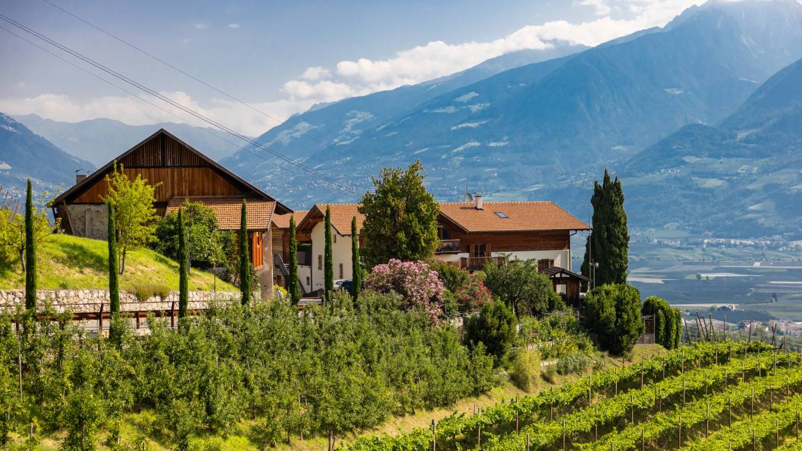 35 M² Apartment ∙ 2 Bedrooms ∙ 4 Guests - Lana