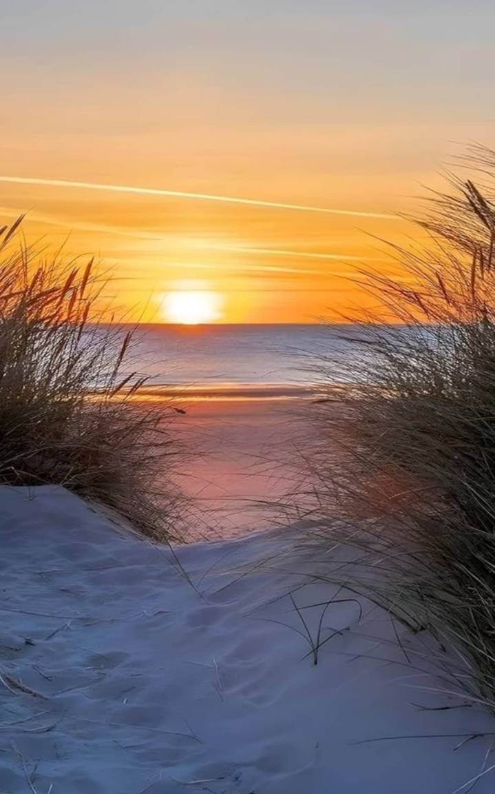 76 M² House ∙ 1 Bedroom ∙ 4 Guests - Perdido Key, FL