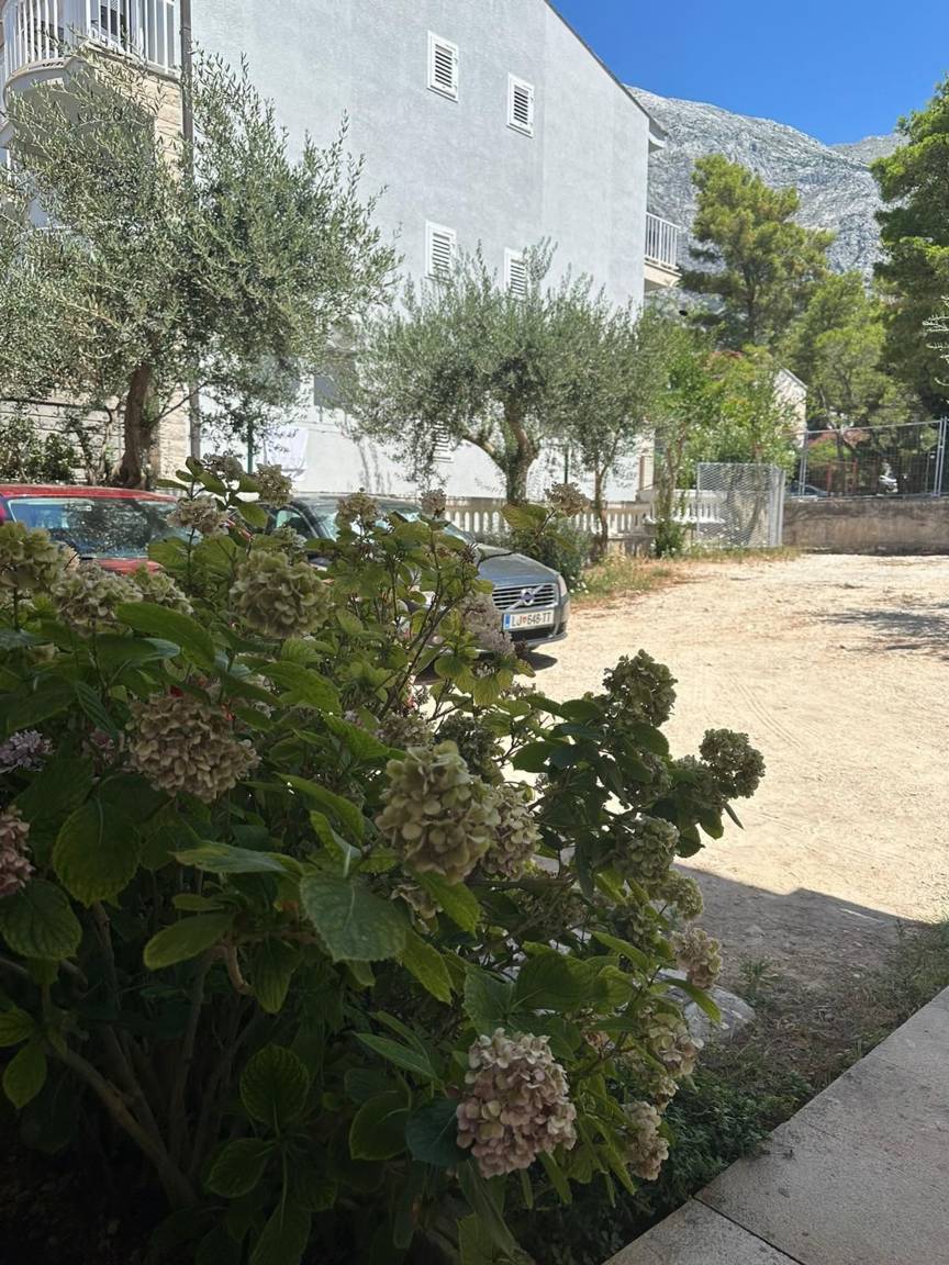 Apartment ∙ 1 Bedroom ∙ 4 Guests - Baška Voda