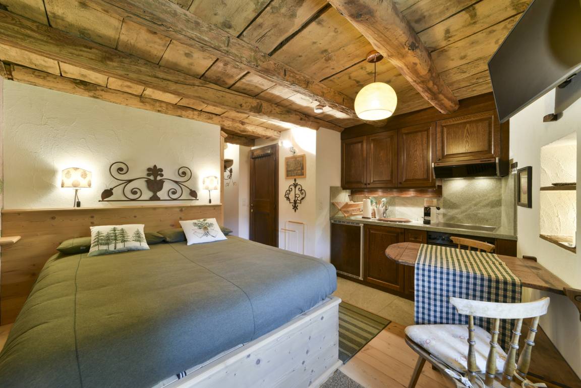 25 M² Studio ∙ 1 Chambre ∙ 2 Personnes - Saint-Moritz