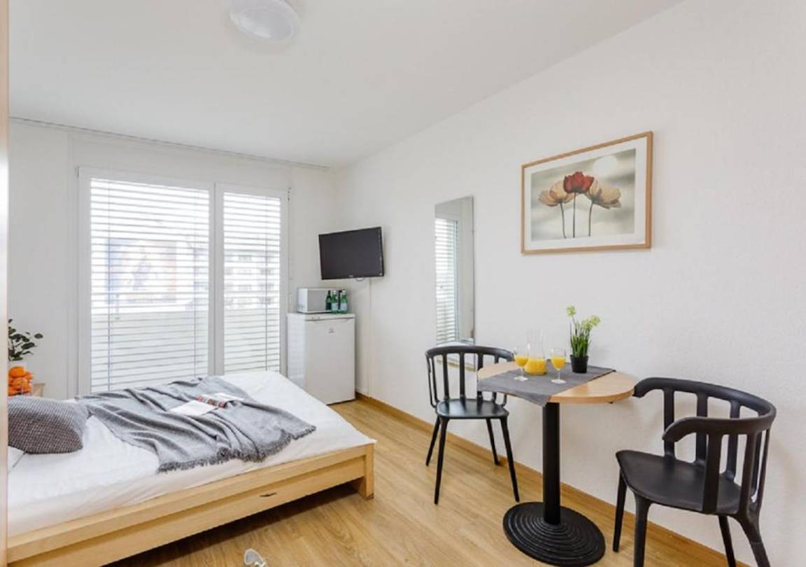 20 M² Apartamento ∙ 1 Quarto ∙ 2 Hóspedes - Zurique