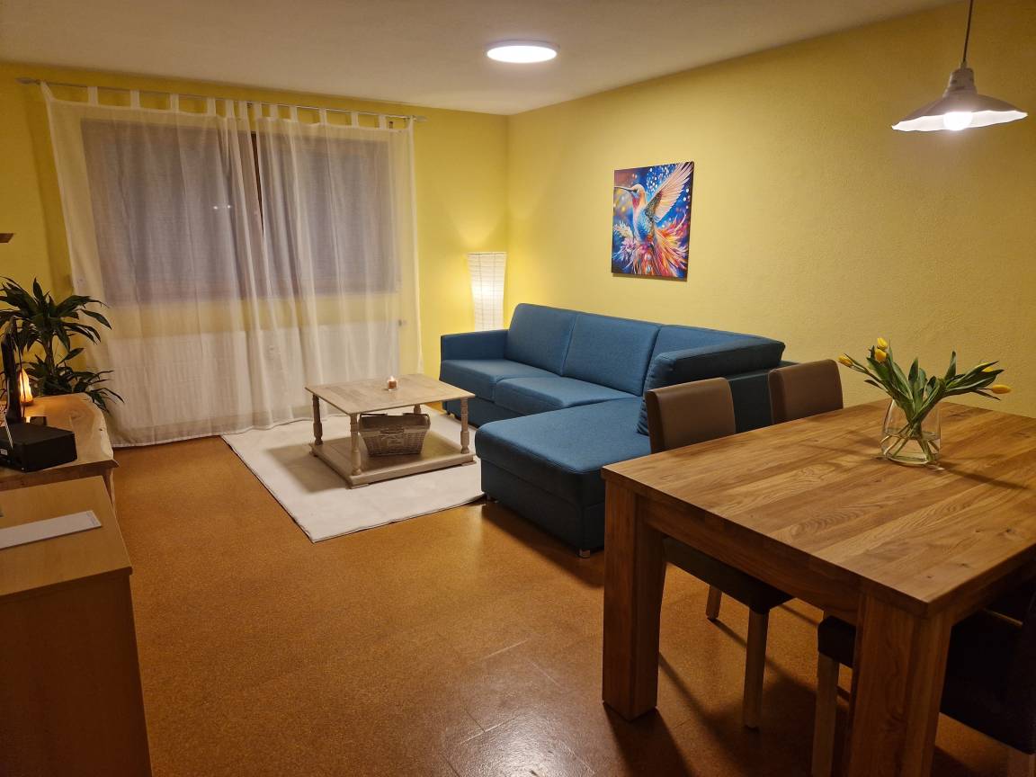 48 M² Appartement ∙ 1 Chambre ∙ 4 Personnes - Bad Krozingen