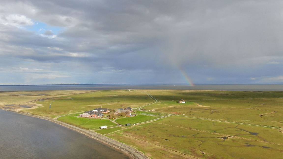 55 M² Apartment ∙ 2 Bedrooms ∙ 3 Guests - Langeneß