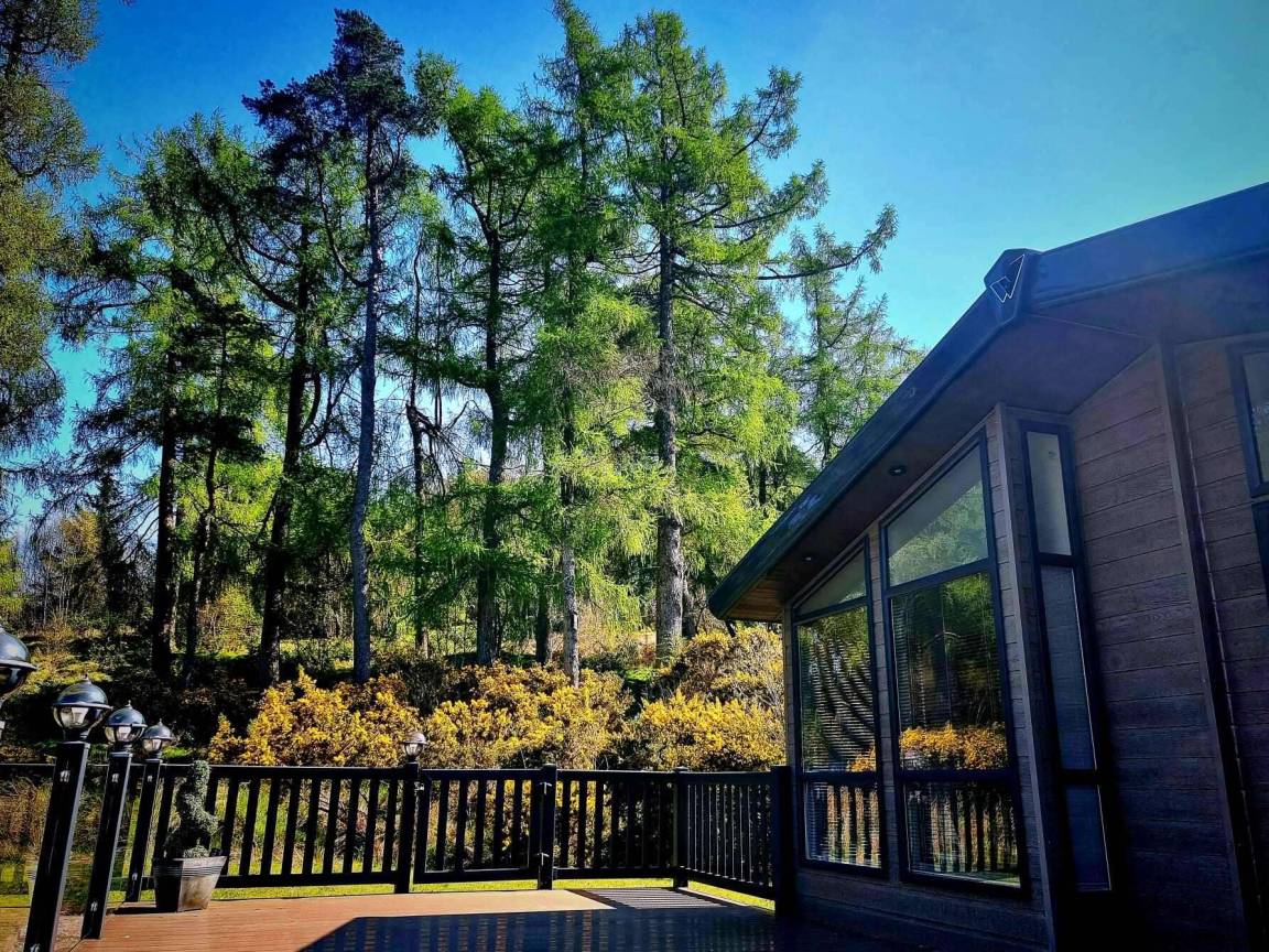 40 M² Lodge ∙ 3 Bedrooms ∙ 6 Guests - Dunoon