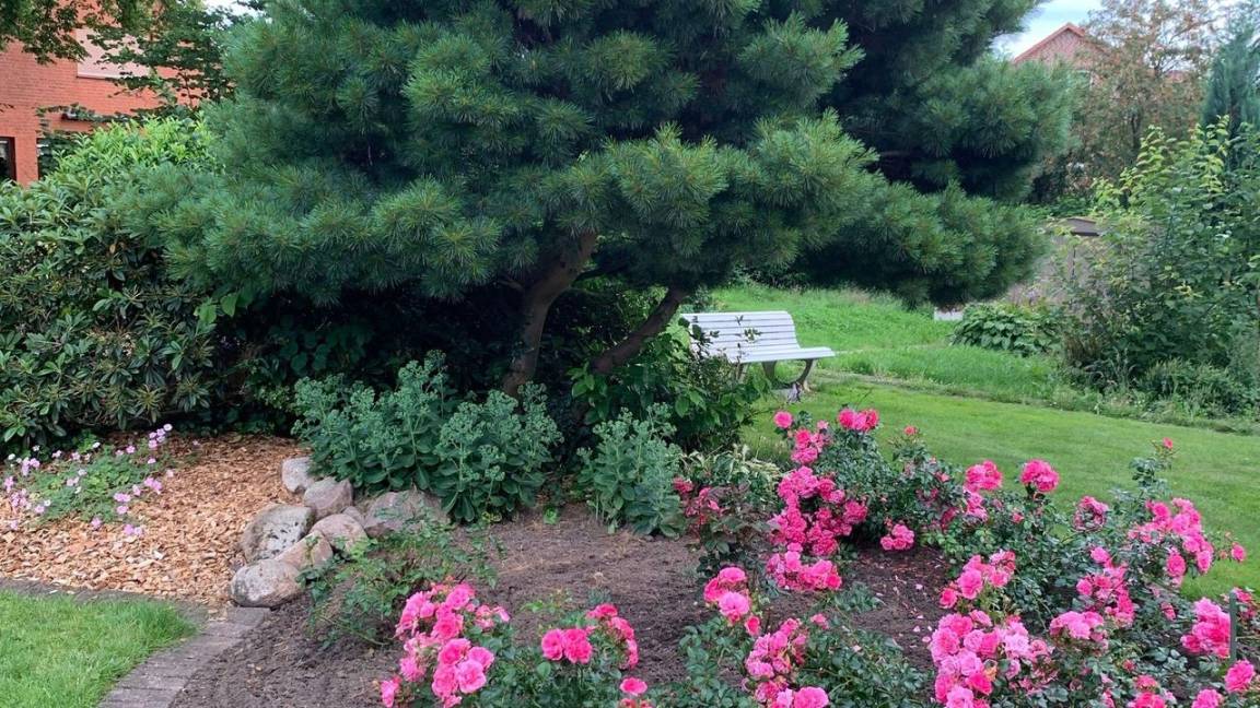 100 M² House ∙ 2 Bedrooms ∙ 4 Guests - Amelinghausen