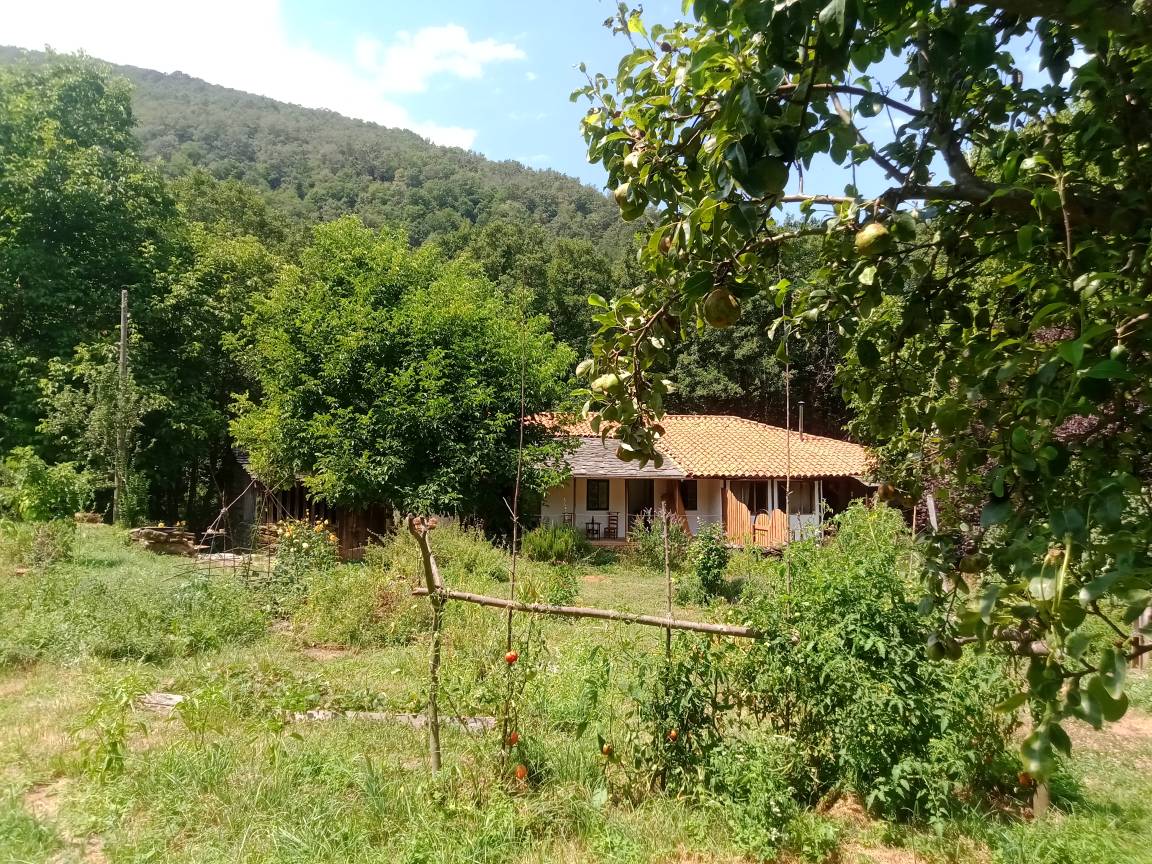 55 M² Casa Rural ∙ 1 Habitación ∙ 2 Huéspedes - Galice
