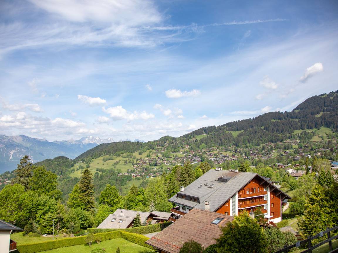 140 M² Ferienhaus ∙ 1 Schlafzimmer ∙ 7 Gäste - Gryon