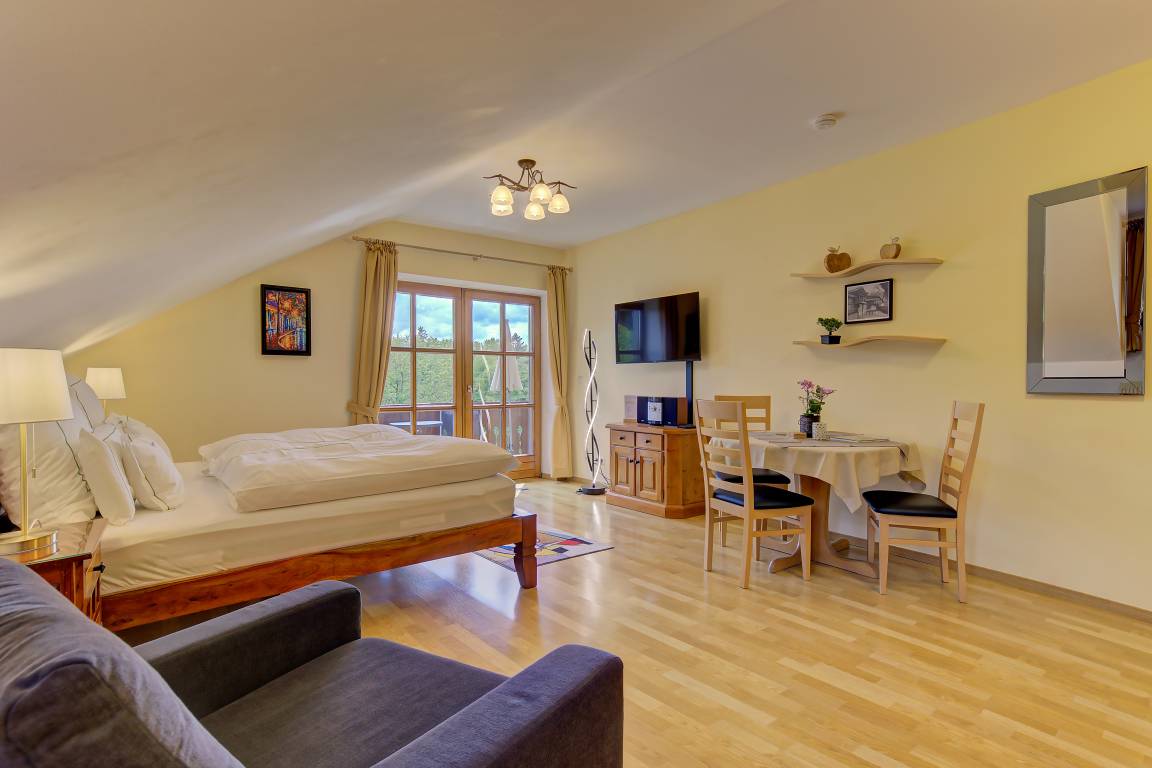 30 M² Studio ∙ 1 Schlafzimmer ∙ 2 Gäste - Neuschönau