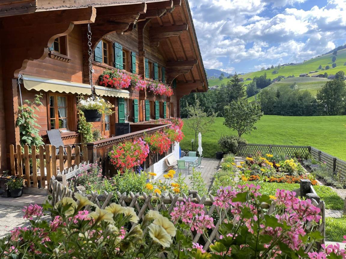 Ferienwohnung ∙ 1 Schlafzimmer ∙ 4 Gäste - Gstaad
