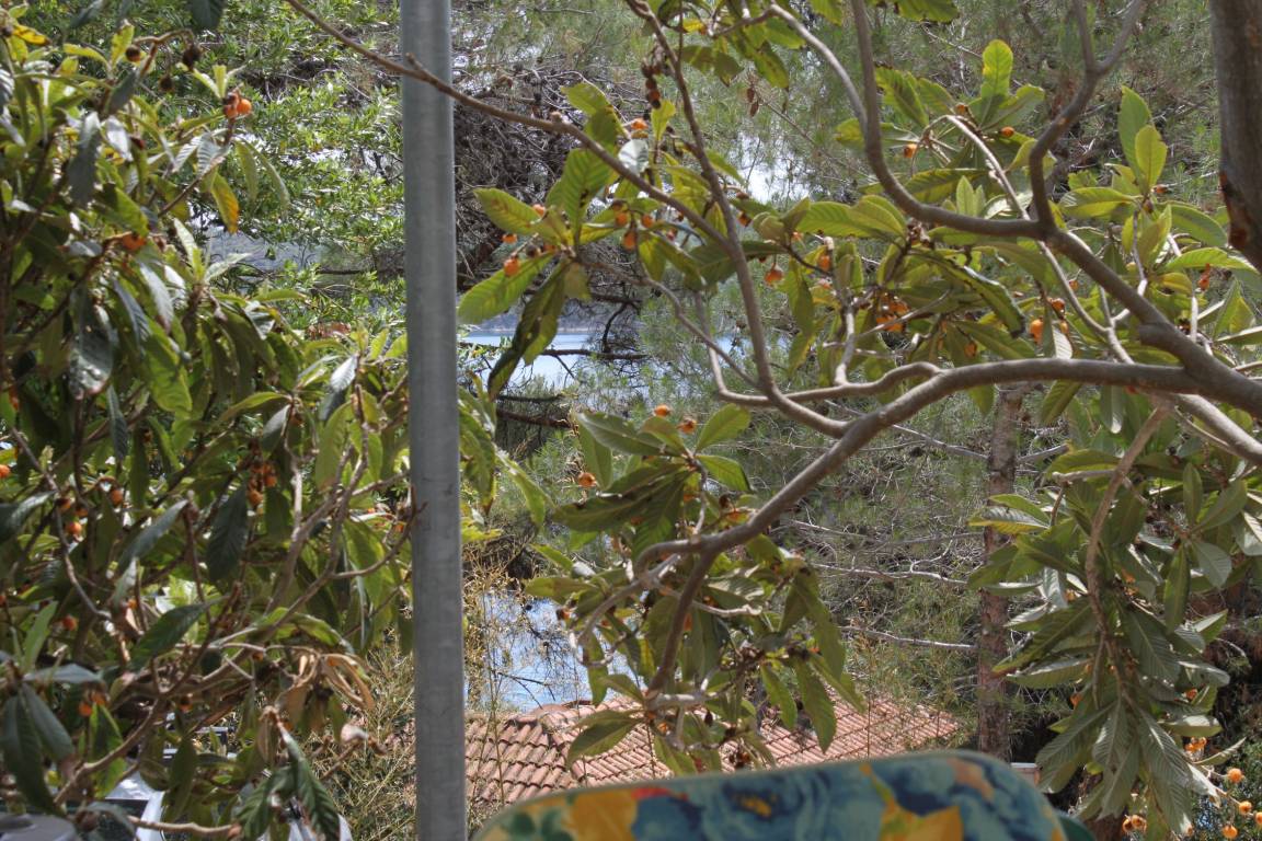 41 M² Apartamento ∙ 2 Habitaciones ∙ 4 Huéspedes - Mali Losinj
