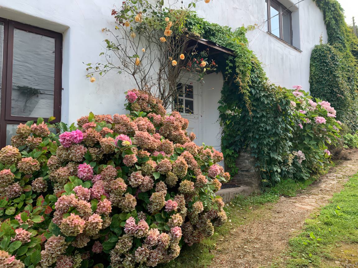 Cottage ∙ 2 Bedrooms ∙ 6 Guests - Paignton