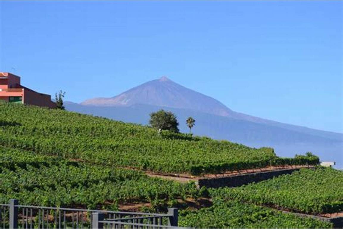 75 M² Longère ∙ 1 Chambre ∙ 2 Personnes - Tenerife