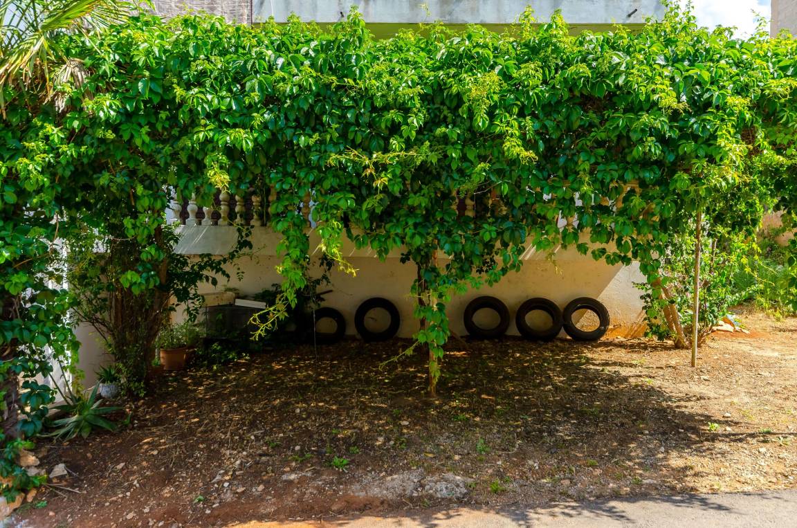 Apartment ∙ 1 Bedroom ∙ 4 Guests - Jelsa