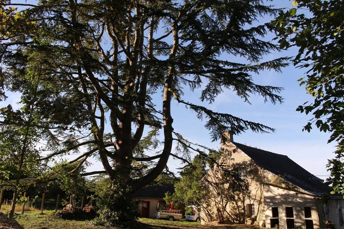 150 M² Maison De Vacances ∙ 4 Chambres ∙ 12 Personnes - Château-du-Loir