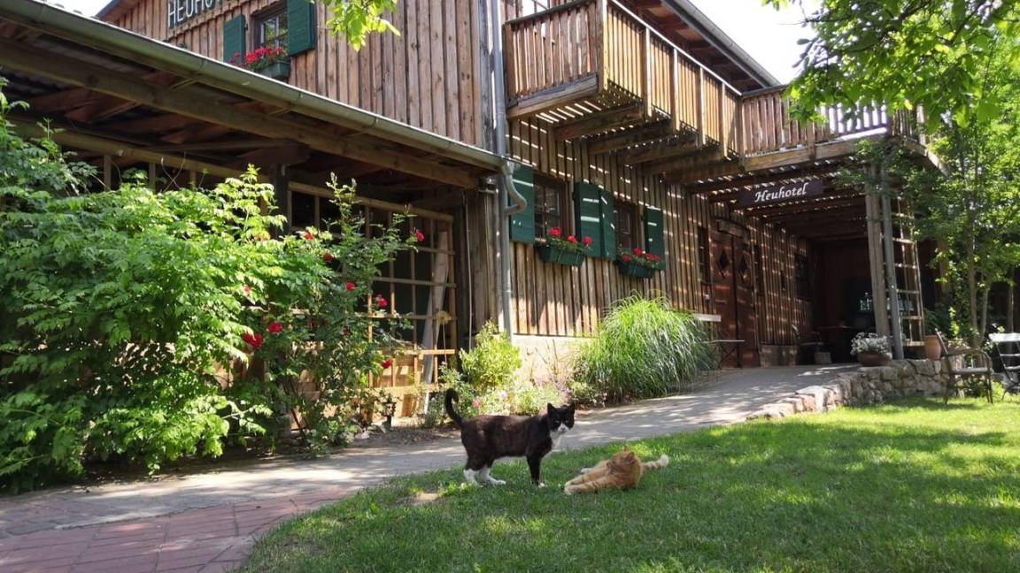 25 M² Hotel ∙ 1 Bedroom ∙ 2 Guests - Bleckede